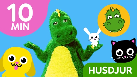 Bolibompa Mini - Husdjur - 10 minuter | SVT Barn